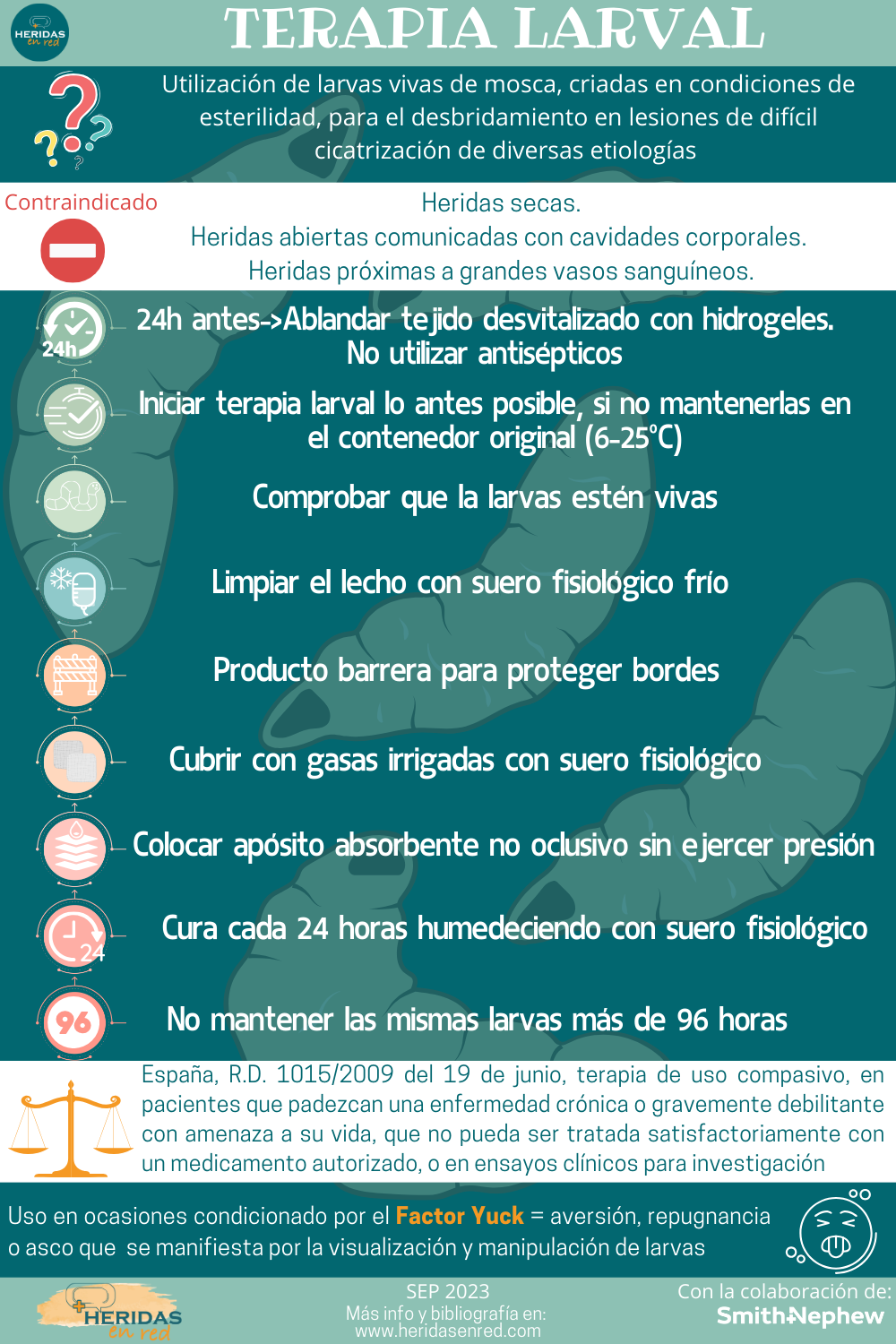 Infografía: Terapia Larval – Heridas en Red