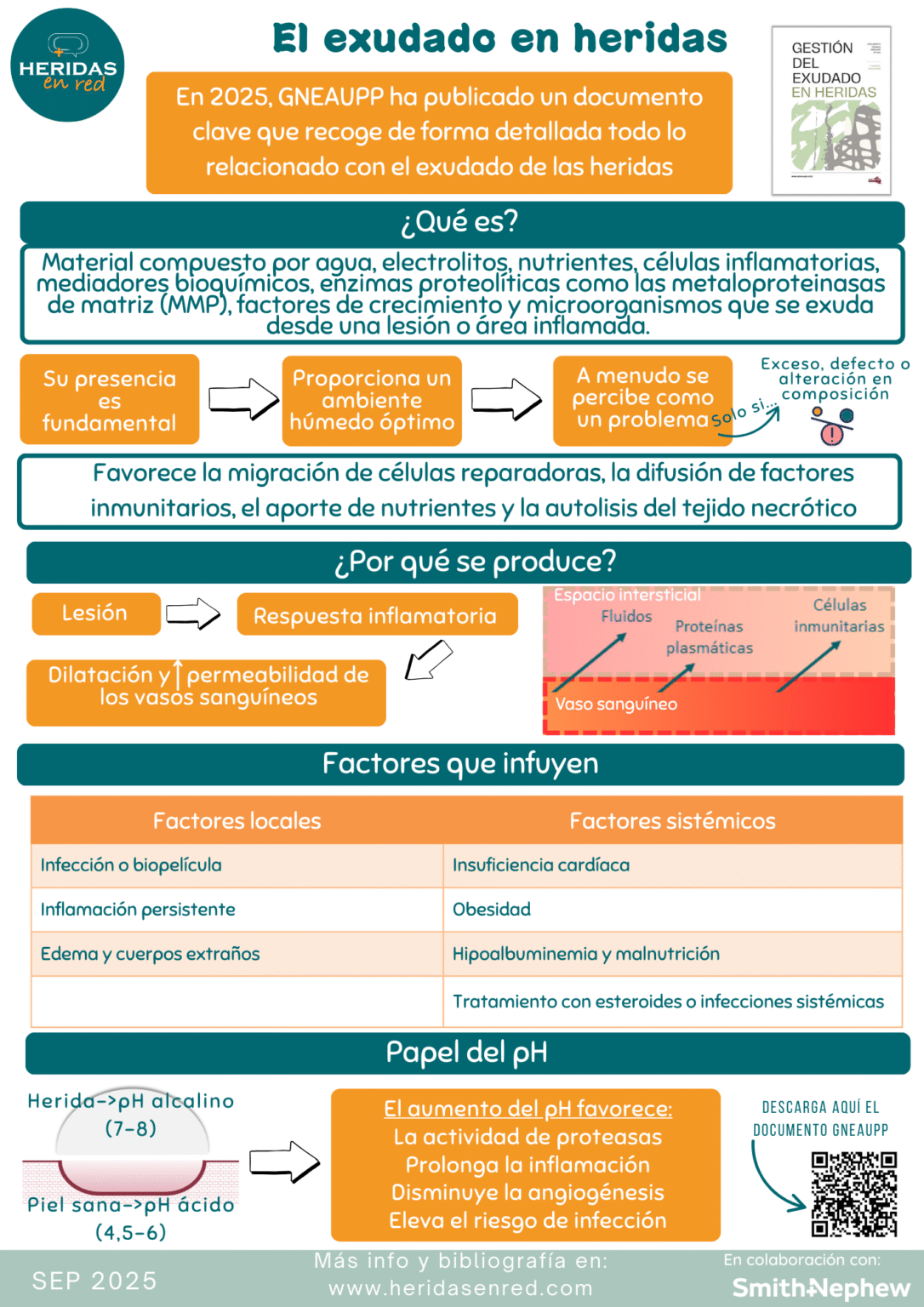 Infografía: El exudado en heridas – Heridas en Red